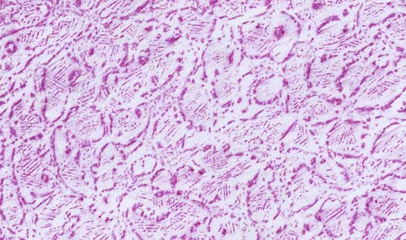 rubbing-purple – studiomaury